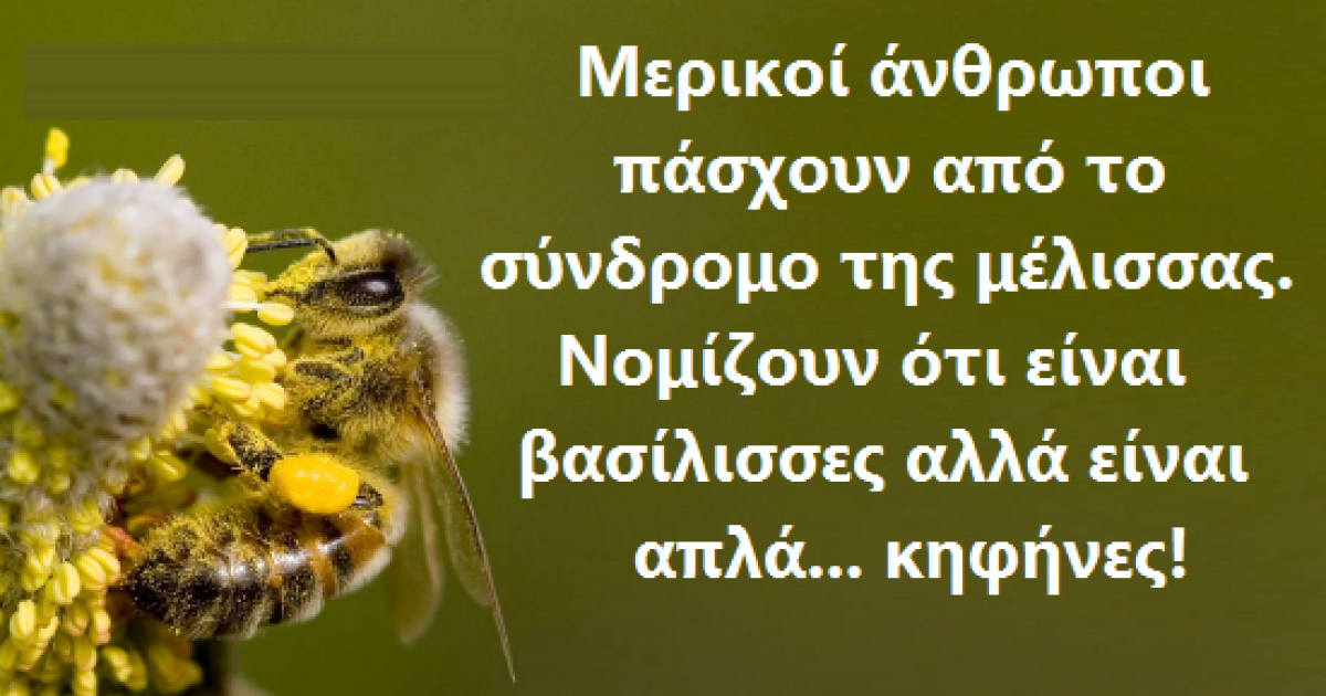 Οι όμορφοι άνθρωποι δεν προκύπτουν τυχαία - DesTora.com